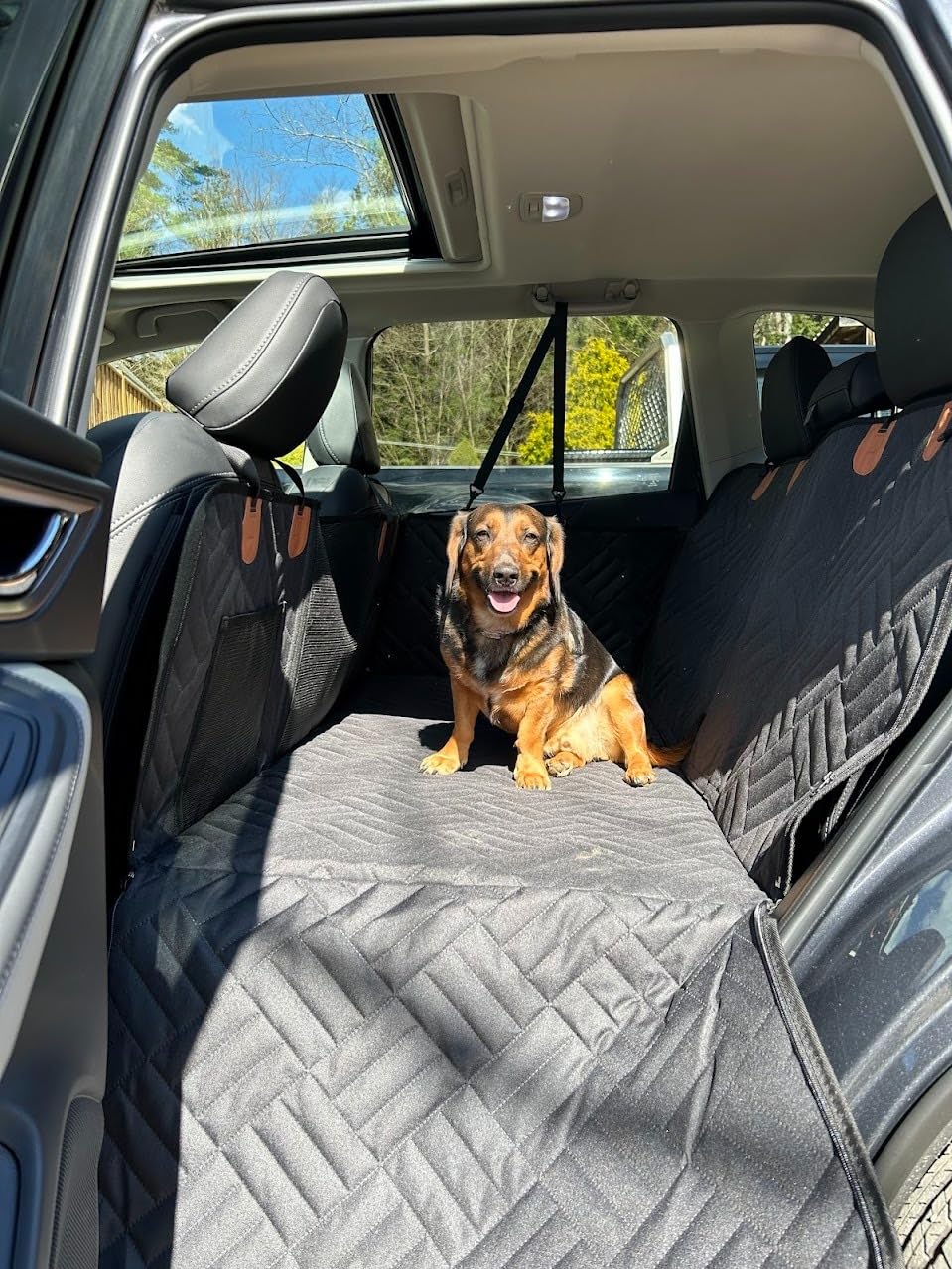 Ruff Rover 2.0 - Premium Dog Car Seat Cover | Safe, Durable, Comfy ...