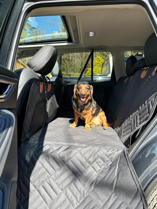 Ruff Rover 2.0 - Premium Dog Car Seat Cover | Safe, Durable, Comfy ...